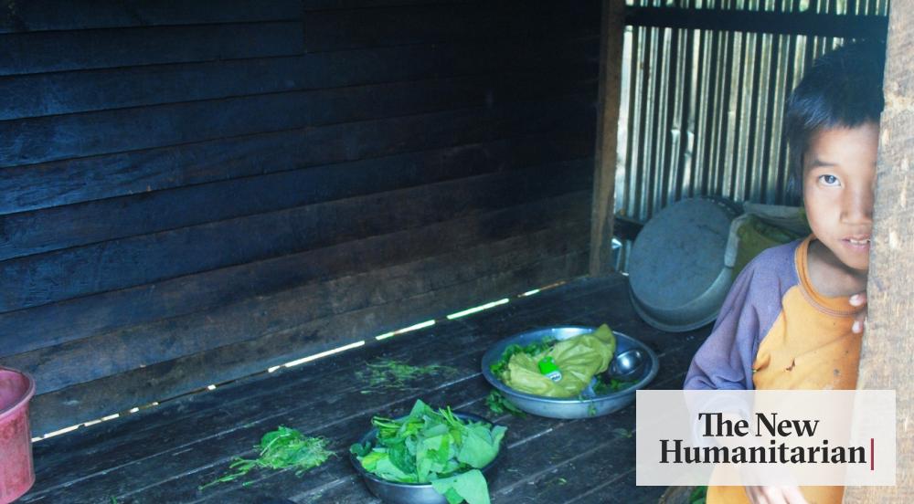 Chin State’s food insecurity has many causes