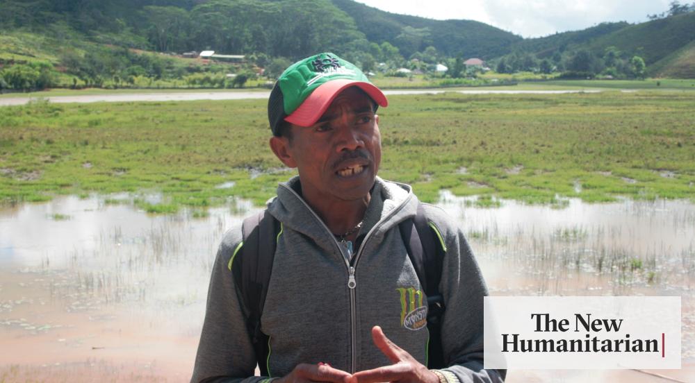 Boosting farm-level disaster resilience in Timor-Leste