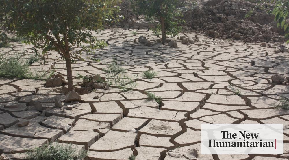 Climate change and conflict: it’s complicated