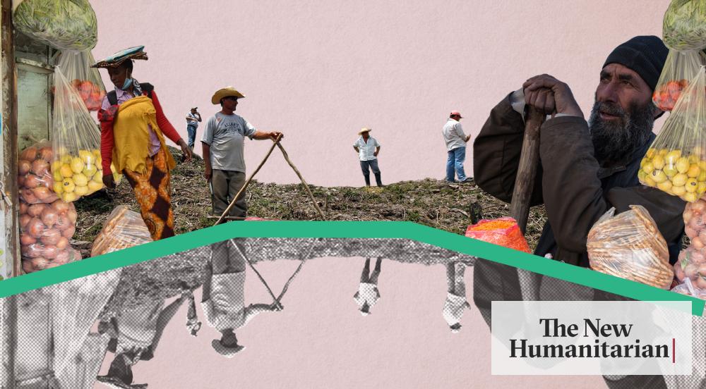 2020 in review: Food security