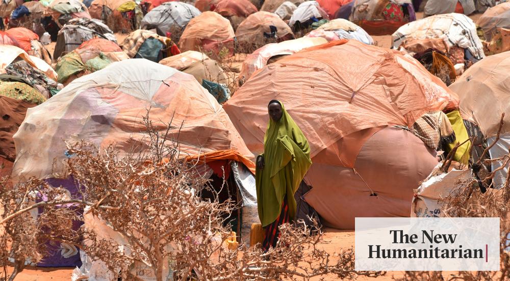 Alarm bells but little action as Horn of Africa faces unprecedented drought